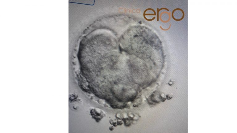 ¡Feliz día del embriólogo! - Clínica Ergo